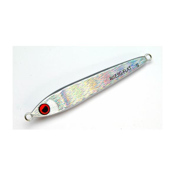 RISE JIG FLATについて■フラット面とアール面の左右(表裏)非対称デザイン■ただ巻きでウォブリング、STOP＆GOでクイックアクション■フリーフォールではヒラヒラと大きくスライドしスローに水平フォール■ウェイト毎に最適なバランスを...