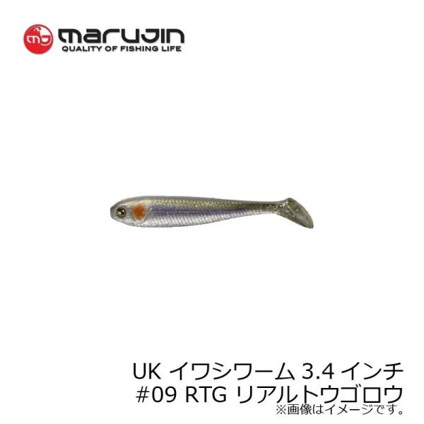 完全イワシ型ワーム全身後方ハイピッチロールマイクロベイト、アミ対策カタクチイワシを模した特化型ワーム。内部構造やボディのクリアランスを向上させ、飛距離アップ！ボトムの取りやすさなどイワシが群れるシチュエーションでより使いやすく専用設計しまし...