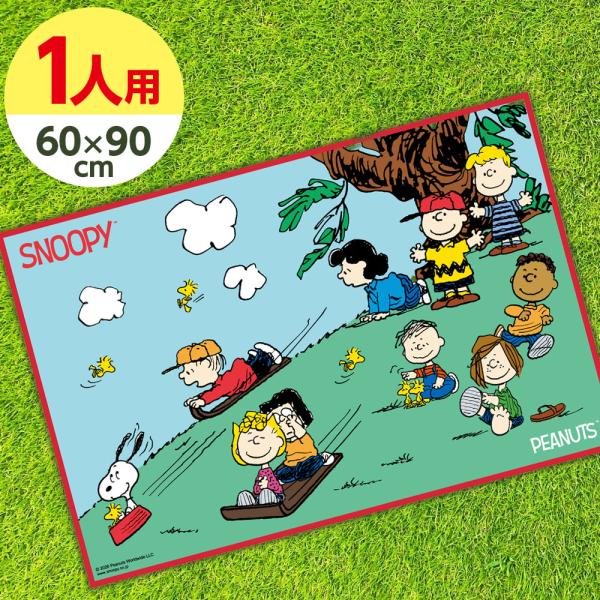広げた時のサイズ（約）:幅90×奥行60cm収納時サイズ（約）:幅17×奥行1×高さ25cm材質:ポリエチレン、ポリプロピレン製造国:中国製造メーカー:アサヒ興洋
