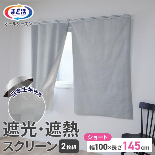 商品サイズ（約）:幅100×長さ145cm入り数:2枚入重量（約）:280g材質:本体/ポリエステル・黒層コーティング・アルミ蒸着　クリップ/ステンレス付属品:クリップ10個品番:HN-173製造国:中国製造メーカー:アール