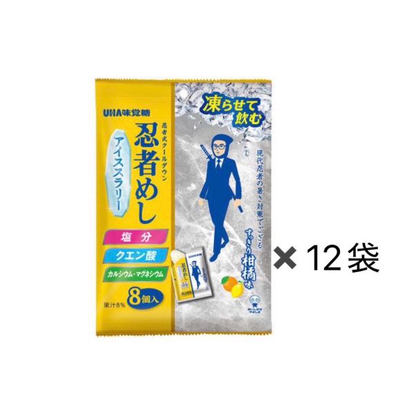 忍者めしアイススラリー すっきり柑橘味/ガム・グミ・ゼリー/ブランド：UHA味覚糖/( 暑さ対策 塩分補給 飲む氷 スポーツ )/【発売元、製造元、輸入元又は販売元】UHA味覚糖/・単品JAN：4902750606791/【忍者めしアイスス...