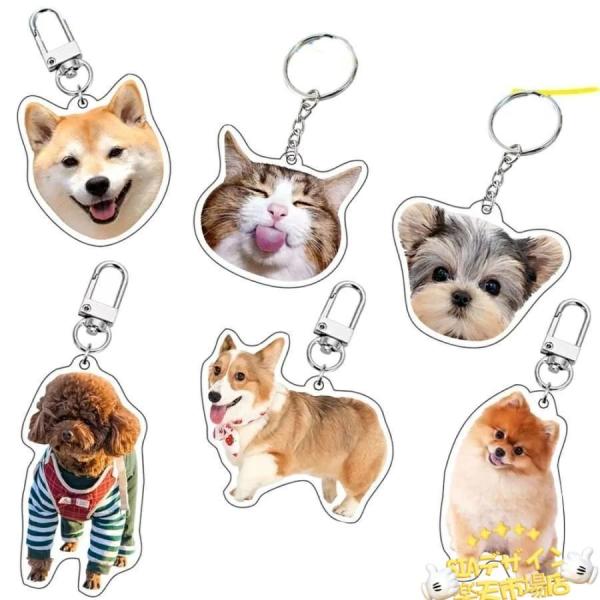 写真 キーホルダー 犬 アクリル 記念品 猫 犬 ハムスター メモリアルグッズ ペットグッズ 犬用品 オーナーズグッズ オーダーメイド オリジナ