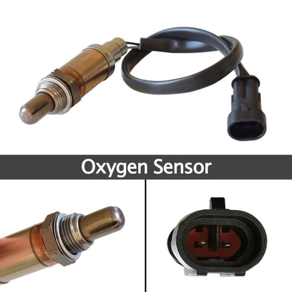 購入の際、会社概要(お客様ガイド)をご確認いただき、ご承認頂いたものとします。ご不明な点は、ご購入前に必ずお問い合わせください。