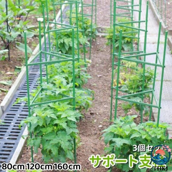★植物の茎や幹をしっかりサポートしながら育てることができます。 ★３本の支柱で支えるため、倒れにくくサポートします。 ★お好みによりプランターや露地でも使用可能。 ★プランターに設置してトレリスとしても楽しめます。　　　　　　