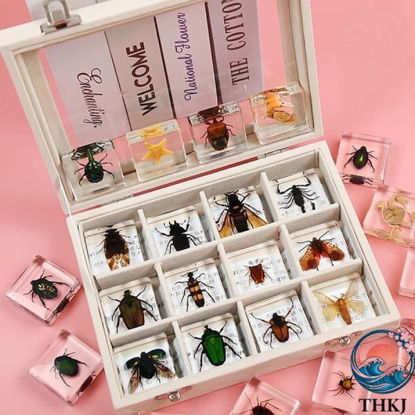 本物の昆虫標本絶妙な動物標本ギフトセット透明樹脂クリエイティブ家具 標本コレクション昆虫サンプルスコーピオンスパイダービートル標
