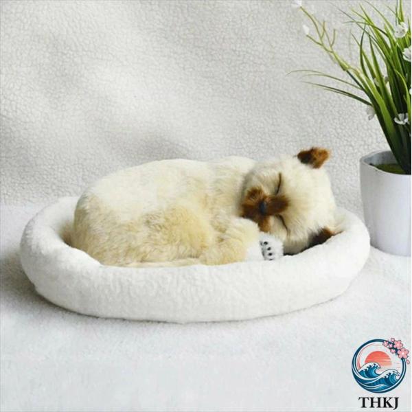 呼吸して眠るリアルな猫のぬいぐるみは、そのリアルな外見と動きで多くの人々を魅了しています。このぬいぐるみは、まるで本物の猫が眠っているかのように見え、触り心地も非常に柔らかです。特にペットを飼えない環境にいる方や、ペットロスを経験された方に...