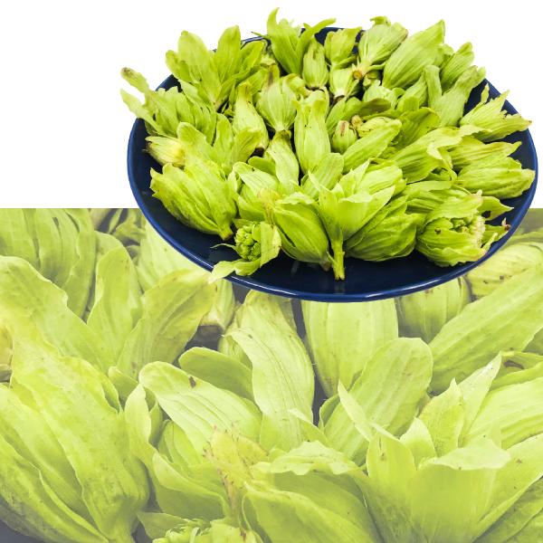 【発売日：2026年03月31日】■【内容】 日本有数の豪雪地帯 新潟魚沼産 ふきのとう ご家庭にちょうどよい量 20〜30粒（約120〜200g） / 天然物 採りたてそのまま/ 天然物なので大きさは不均一 ※※【賞味期間】 到着後は冷蔵...