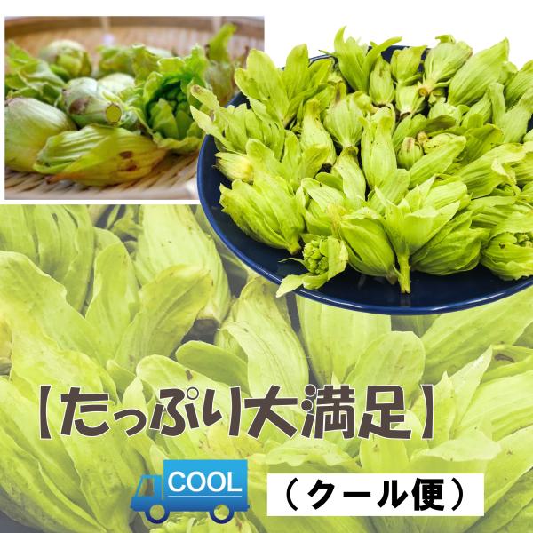 【発売日：2026年03月31日】■【内容】 日本有数の豪雪地帯 新潟魚沼産 天然 ふきのとう（粒数：50〜75粒，総重量：450〜550g） ※ 天然物ゆえに大きさは不均一で、粒数重量共に個体サイズに応じて前後します。ご了承ください。 ／...