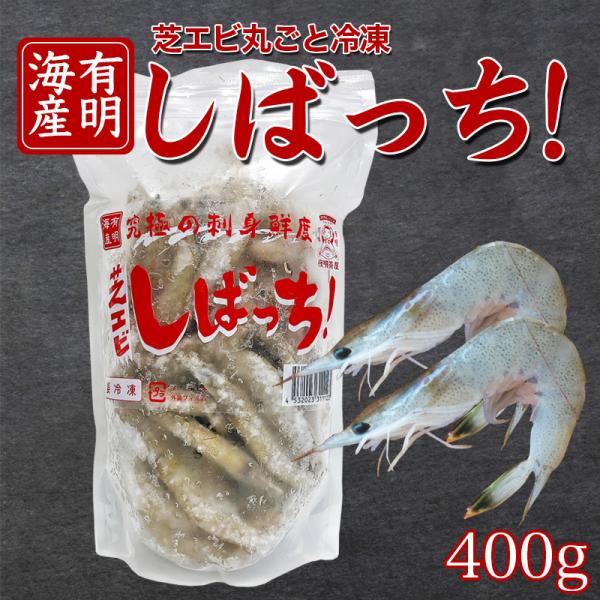 【産地】 有明海（熊本県〜福岡県〜佐賀県）天然もの【内容量】 約400g【配送方法】 冷凍便有明海の恵みをたっぷりと受けて育ったマエビ(芝海老)。冷凍だから手軽に使えます。もちろん、価格の安いバナメイエビではありません。目利きが魚市場から仕...