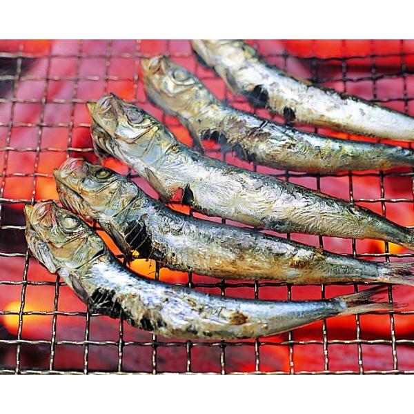 たっぷりと脂がのったいわしの丸干しです。酒の肴に、ご飯のお供にどうぞ。