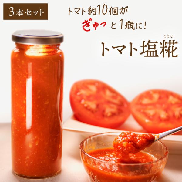 ★プレゼント対応をご希望の方はストアへのご要望欄にコメントをお願いします。https://www.instagram.com/takayuki_yodafarm/Instagramにて成長記録を公開しております。この所、配送時のトラブルが報...