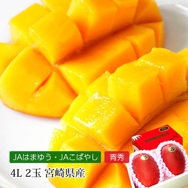 樹から離れる果実がおいしいときを逃さないよう自然に落果するその瞬間までひとつひとつ丁寧に見守り続けた完熟マンゴー。マンゴー本来のおいしさ、香りを充分に蓄え、濃厚な甘みとジューシーな果汁溢れる逸品です。今年もおいしく完熟した「太陽のタマゴ」是...