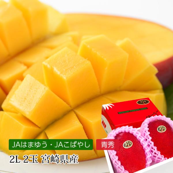 樹から離れる果実がおいしいときを逃さないよう自然に落果するその瞬間までひとつひとつ丁寧に見守り続けた完熟マンゴー。マンゴー本来のおいしさ、香りを充分に蓄え、濃厚な甘みとジューシーな果汁溢れる逸品です。今年もおいしく完熟した「太陽のたまご」是...