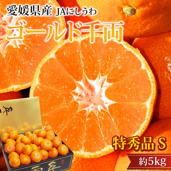 日の丸みかんは愛媛県の中でも最も歴史と伝統ある産地の一つです。指定園地で、3つの太陽に加えてタイベックマルチで地面からの反射光を与え、雨水を調整し、完熟させさせたみかん。「年の暮れに千両箱が届くと翌年はすばらしい年になる」という言い伝えもあ...