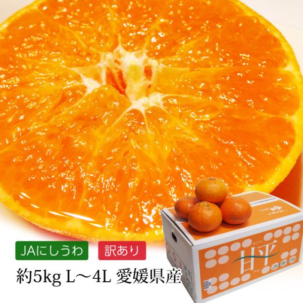 デビューが2007年と比較的新しい柑橘王国愛媛県の期待を背負った大型新人です。果皮が薄く種もほとんどないため食べやすさが特徴。果肉がぎっしり詰まっておりプチプチとした食感と上品な甘さを堪能できます。果皮が非常に薄く手で皮をむきやすく、種も殆...