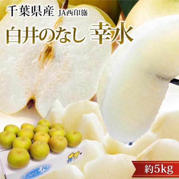 最上級ランク梨、幸水。赤梨系の早生種の代名詞でもあり、梨の収穫がこの幸水から始まります。その年の梨の評価はこの梨で決まります。やわらかくシャリ感のある果肉には果汁がたっぷり含まれ、ひと口食べると強い甘味が口いっぱいに広がります。酸味の少ない...
