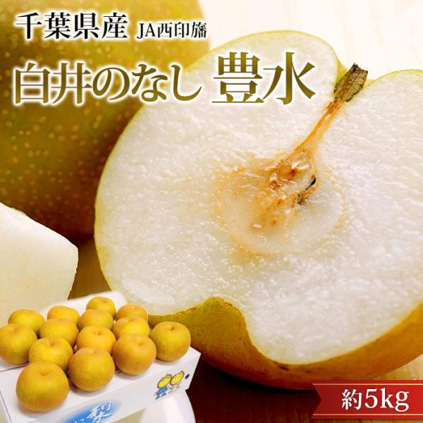 特に人気の高いの銘柄梨、豊水。最大の特徴は果肉に含まれる果汁の多さ。その名の通り果汁がたっぷり詰まっているのが魅力です。溢れださんばかりのみずみずしい果汁は、豊かな日照時間の恵みを受けて糖度が増し、肉質もなめらか。かじるごとに、蜜のような甘...
