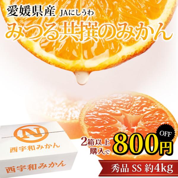 糖度・酸度のバランスが最も優れたものをセレクトしたみつる共撰自信の「秀品」まさにおいしさの中に、ひたむきな愛情が醸したやさしさを感じていただけるみかんなのです。小さいけれど愛媛みかんの味をお手軽にお楽しみ頂けます。みつる共撰「秀品」の選果基...