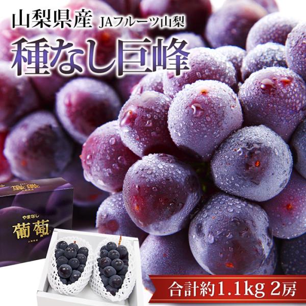 「ぶどうの王様」と言われる巨峰、上品な香りと濃厚な甘さが人気です。上品な香りと柔らかくそして甘くジューシーな果肉の種なし巨峰。果皮は濃い黒紫色で果肉は透きとおった淡緑色。巨峰は日本原産のぶどうでその果実の大きさから「ぶどうの王様」とも言われ...