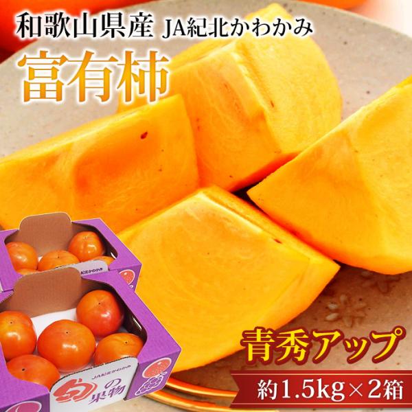 富有柿は秋の味覚、甘柿の代表として有名で、その色と味わいの良さは万人が認めるところです。800とも1,000 とも言われる柿の品種の中でも、もっとも多く栽培され「柿の王様」と称されています。かき/カキ/ふゆうがき/フユウガキ/お取り寄せ/フ...
