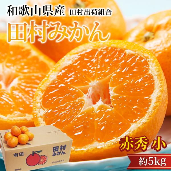 みかん畑のすぐそばは「海」ほど良い潮風と照り返す「太陽」恵まれた環境の中で美味しくそして気高く育っています。田村出荷組合とのタイアップにより大切に育てられ収穫された極上のみかんを、産地より直接お届けします。田村出荷組合のみかんは、有田みかん...