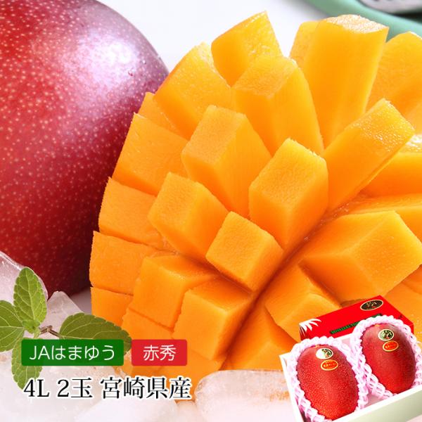 樹から離れる果実がおいしいときを逃さないよう自然に落果するその瞬間までひとつひとつ丁寧に見守り続けた完熟マンゴー。マンゴー本来のおいしさ、香りを充分に蓄え、濃厚な甘みとジューシーな果汁溢れる逸品です。今年もおいしく完熟した「太陽のタマゴ」是...