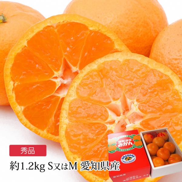 平成21年に日本農業賞大賞を受賞し、ハウスみかんのトップブランドとしてその存在を確立した愛知県蒲郡の温室みかんです。剥きやすく、食べやすく、とても甘く美味しい上品なみかんです。夏に向かって気温が上がる中、冷えた極上ハウスみかんは最高です。糖...