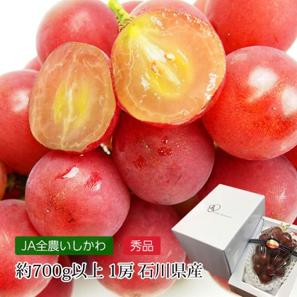 8月上旬に石川県産の赤系ぶどう「ルビーロマン」が大田市場に入荷します。大粒で大きいものでは直径約4センチにもなります。1粒丸ごとお口に放り込むと口の中が満たされ、噛むとこれほどジューシーなぶどうがあったのかと思われるほどの瑞々しい甘さを堪能...
