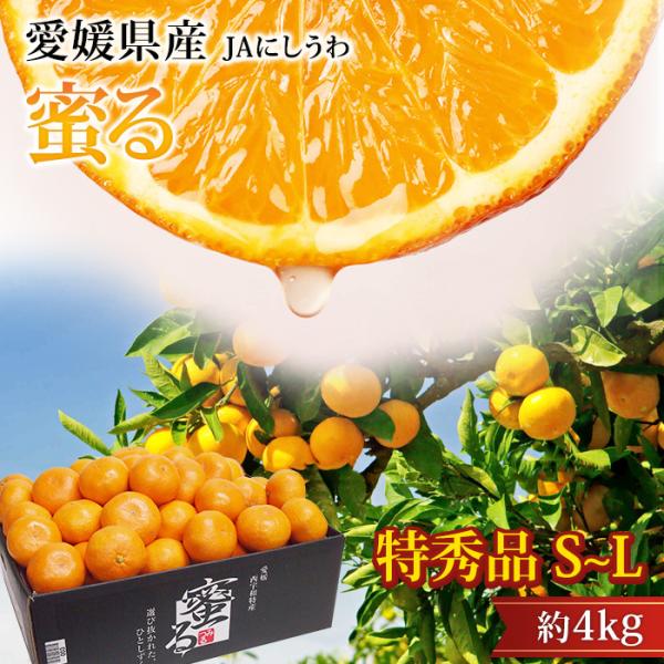 糖度・酸度のバランスが最も優れたものをセレクトしたみつる共撰自信の特秀品「蜜る」まさにおいしさの中に、ひたむきな愛情が醸したやさしさを感じていただけるみかんなのです。みつる共撰が自信をもってお届けする黒箱「特秀」の選果基準を満たしたみかんで...