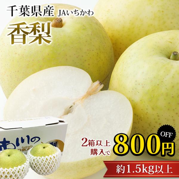 千葉県のたった二人の生産者から始まった希少価値の高い特別な梨です。香梨は栽培が難しく生産量が非常に少ないため、幻の梨と言われます。瑞々しい果汁たっぷりでとても繊細な味わいを楽しむことができます。なし/ナシ/高級/お取り寄せ/フルーツ/果物/...