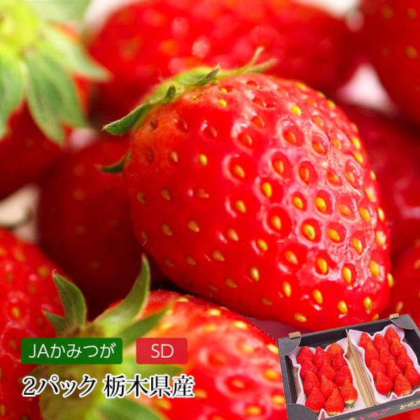 とちおとめ・とちあいかは粒は大きく甘みも強く、また酸味が少ないのでとても食べやすいのが特徴のいちごです。栃木県はいちご収穫量日本一、その主力品種の最高峰をお楽しみください。JAかみつがのご協力により、取れたてのフレッシュないちご、とちおとめ...