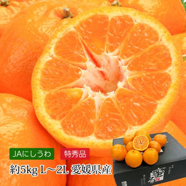 ポンカンの原産はインド東北部といわれ、日本には台湾から伝来しました。みかんよりも大きな果実は、首の部分が凸で果頂部が凹になっており、皮が剥きやすく、甘さとまろやかな風味、香り高いのが特徴です。選りすぐりの糖度の高いポンカンだけを選別し、特秀...