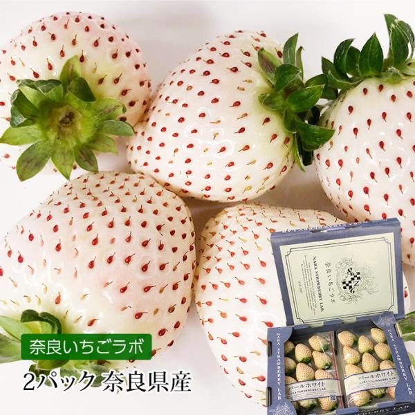 パールホワイト・真珠姫は、真っ白な果皮が特徴で果肉まで真っ白ないちご。そう果（表面のつぶつぶ）の色だけ赤くなります。食味は酸味が少なく白いちごとしては糖度が高く、ほどよい甘さを楽しんで頂けます。パールホワイトは、2015年に品種登録されたば...