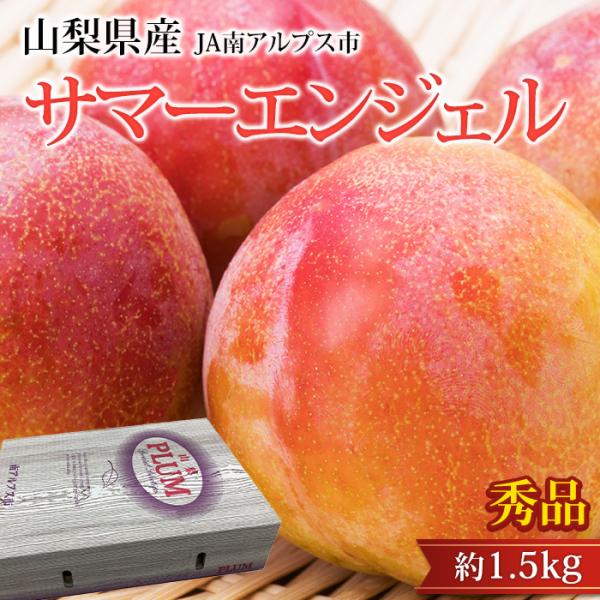 すももの産地として有名なJA南アルプスより「夏の天使」と命名されたすもも、サマーエンジェルをお届けします。サマーエンジェルはとてもジューシーなすももで糖度も15〜17度と高く甘いすももですが、皮の部分に適度な酸味がありバランスが良い食味を楽...
