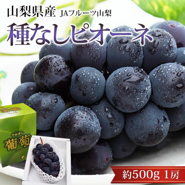 糖度が高くて香りがよく、適度な酸味で濃厚な味わい。大きいものは粒が20gほどになり、見た目・食味ともに優れています。果肉はしまっていて、巨峰に比べて粒が落ちにくく日持ちがよいのも魅力です。酸味が弱く、甘味が強いため、人気の出てきている品種で...