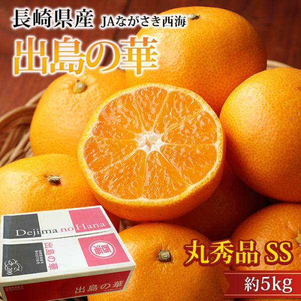 「出島の華」は、長崎県で発見・育成された「させぼ温州」の中でも、特に品質が優れた果実だけを厳選し、出荷している長崎みかんの統一ブランド名です。指定園制度で厳しく管理された園地のさせぼ温州から、糖度14度以上、酸含量1.0％以下でうまみを重視...