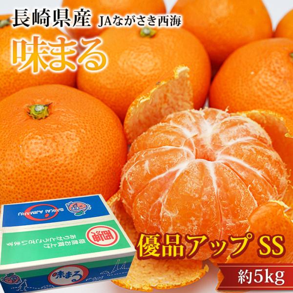 長崎西海の三大ブランドみかんの一つ、「味まる」。光センサー選果機により、糖度12度以上、酸度1%以下の厳しい基準をクリアしたみかんが「味まる」として出荷されます。外皮は薄くて剥きやすく、濃厚な甘さを味わえます。高糖度で程よい酸味でお召し上が...