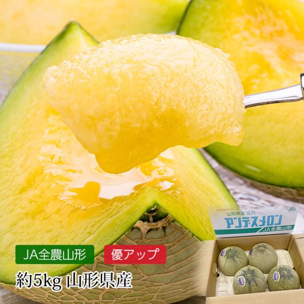 アンデスメロンは果肉がグリーンで味と香りはマスクメロンに似ています。アンデスメロンはメロンの品種の中では栽培しやすく食味が安定しているため、露地メロンの中では収穫量トップの地位を確立しています。甘さも香りも抜群なメロンを是非ご賞味くださいま...