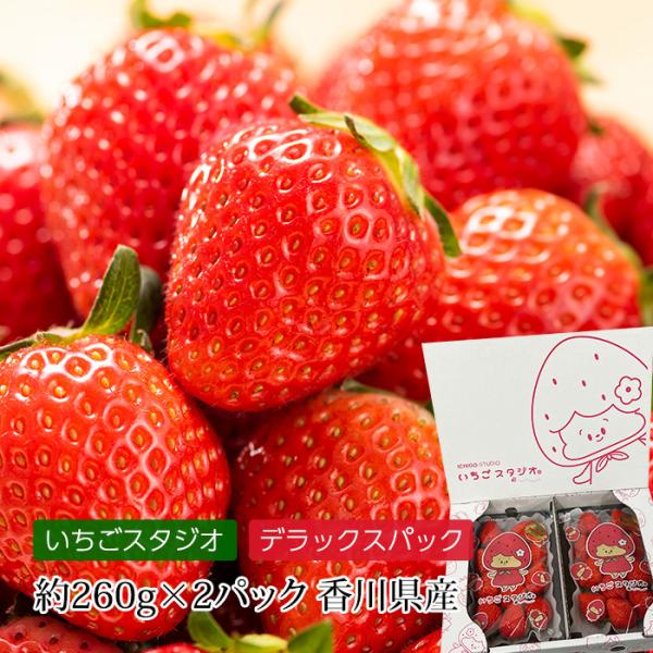 さぬきひめは、「三木2号」と「さがほのか」の交配により育成して、平成21年に品種登録されました。光沢のある果肉は、柔らかな食感で、ひと口食べれば果汁が多く爽やかで上品な味わいです。香りも豊かで、甘く深みのある香りが口の中に広がります。果実は...