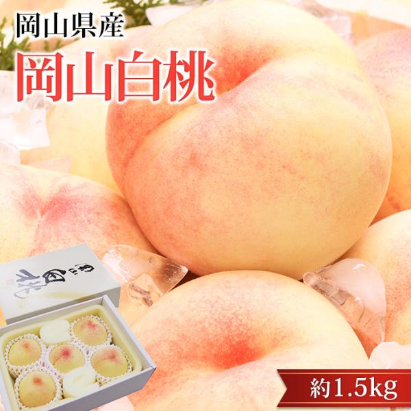 瀬戸内海のおだやかな気候に恵まれ、岡山県では多くの良質な白桃が生産されています。岡山県の桃は直射日光を当てない有袋栽培で、果皮が薄くて白い上品な雰囲気を醸し出しているのが特徴です。是非ご賞味くださいませ。モモ/もも/ピーチ/ぴーち/はくとう...