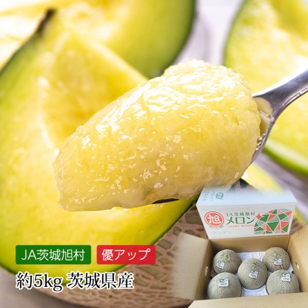 日本一のメロンの産地、茨城県鉾田市旭地区のメロンです。メロン部会創設50年で培った技術と変わることのない情熱で、本当に甘いメロンを作り続けています。緑色の果肉で熟度が増すほどにたっぷりの果汁があふれ出て、とろけるような食感を味わえる甘ーいメ...