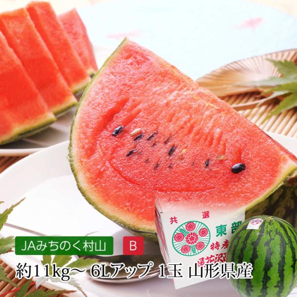 山形県内ですいかの出荷量をみると、そのほとんどが尾花沢すいかです。夏をイメージするすいかですが、熊本県と千葉県のスイカ出荷のピークは春先から初夏頃までですので、7月から8月に出荷が集中する尾花沢すいかは、夏すいか日本一といえます。夏すいか日...