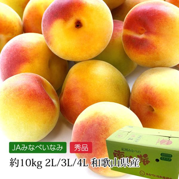 南高梅は日本一の梅の産地である和歌山県の代表的な品種です。果皮は緑色で完熟すると黄色から赤味を帯びます。肉厚でやわらかく、おもに梅干しや梅酒として使われます。和歌山県育った安心・安全な梅をお届けいたします。うめ/ウメ/なんこううめ/ナンコウ...