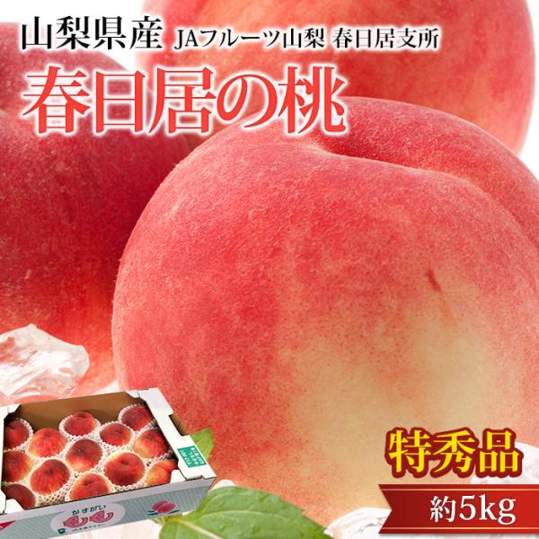 誰もが桃のトップブランドとして認めるのが春日居の桃なのです。その品質の素晴らしさと厳しい選果基準、そして箱詰めにいたるまで徹底した管理とこだわり。長年桃のトップブランドとして高級百貨店や高級果物専門店でのみ取り扱われるまさに逸品です。モモ/...
