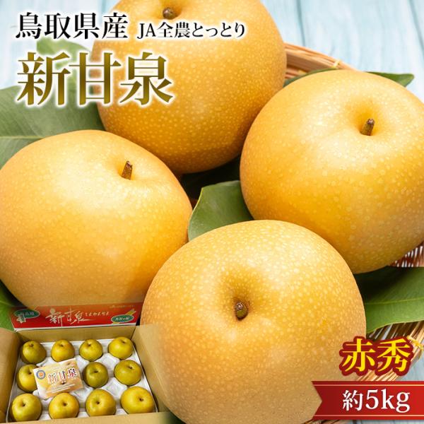 新甘泉は鳥取県だけでしか栽培が許可されていない「新」しく、「甘」く、「泉」のようにジューシーな梨です。親は「筑水」と「おさ二十世紀」です。特徴は糖度が高く酸味は少なめ。果肉はすこし柔らかめながらシャリシャリ感もあるジューシーな食感を味わえま...