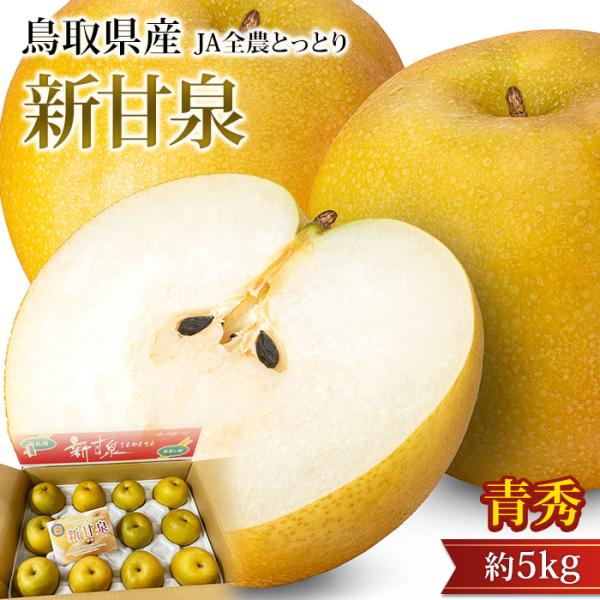 新甘泉は鳥取県だけでしか栽培が許可されていない「新」しく、「甘」く、「泉」のようにジューシーな梨です。親は「筑水」と「おさ二十世紀」です。特徴は糖度が高く酸味は少なめ。果肉はすこし柔らかめながらシャリシャリ感もあるジューシーな食感を味わえま...