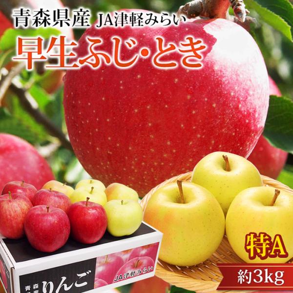 今年もJA津軽みらいのりんごは「玉伸び」「着色」「糖度」の三拍子揃った美味しいりんごに仕上がっております。自然環境だけでなく、特に広船地区を始め生産者の技術のレベル高く、各農家が品評会においてトップを争うような状況です。これからいろいろな品...