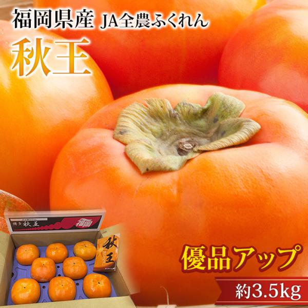 秋王は糖度が高くサクサクした食感で大変美味しい柿です。外皮はきれいな橙赤色で、種がほとんどないという優れた特徴があり、その名のとおりまさに秋の王様の柿です。 かき/カキ/フルーツ/果物/ギフト/贈答/プレゼント/内祝い/出産祝い/産直プレミアム