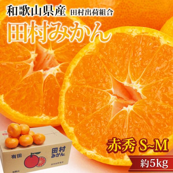 みかん畑のすぐそばは「海」ほど良い潮風と照り返す「太陽」恵まれた環境の中で美味しくそして気高く育っています。田村出荷組合とのタイアップにより大切に育てられ収穫された極上のみかんを、産地より直接お届けします。田村出荷組合のみかんは、有田みかん...