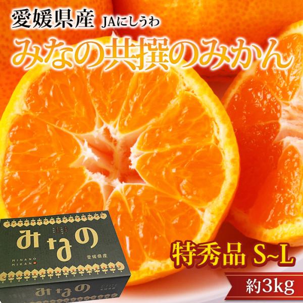 「みなの」みかんは海風とさんさんと降り注ぐ太陽の光によって育てられました。有機肥料を使い栽培されたみなのは安心、安全、そして美味しいみかんです。贈答用にしても◎宇和海の美しい自然と温暖な気候が特徴の地域で育った絶品みかんを是非ご堪能ください...